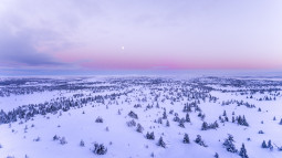 Daftar konten hasil karya brian - Trakteer.id