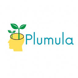 Plumula (Plumula) - Trakteer.id