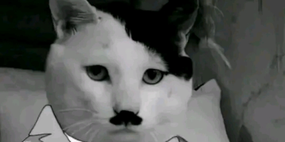 Lusiana Rianjani - Trakteer.id