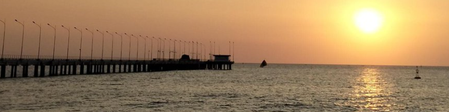 Zhell (sireneMrs) - Trakteer.id