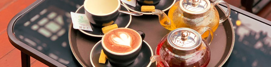 Spring Mint (Springmint) - Trakteer.id